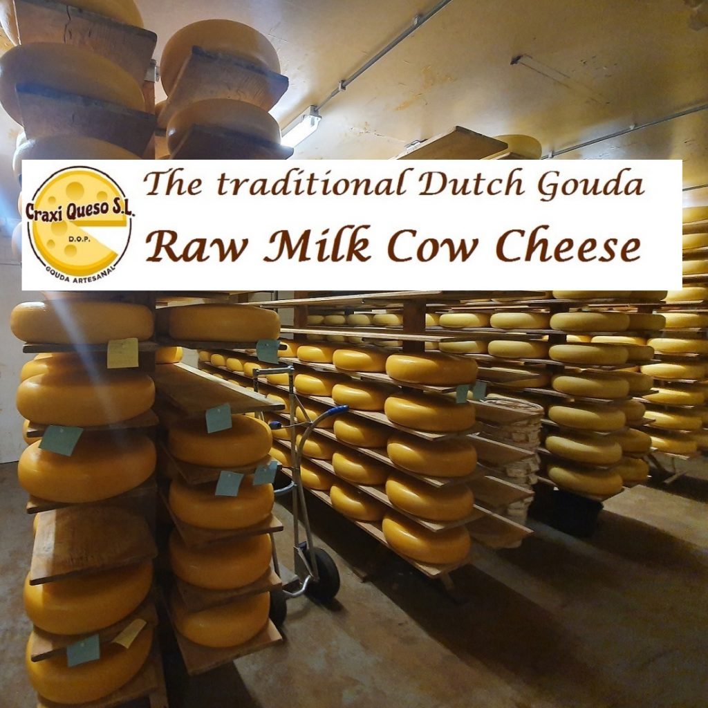 Cow Gouda Cheese - Craxi Queso